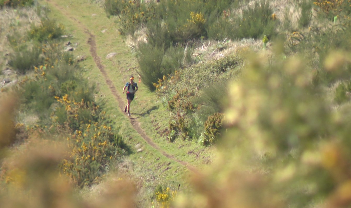 MIUT rende cinco milhões aos cofres da Região (vídeo) | RTP Madeira