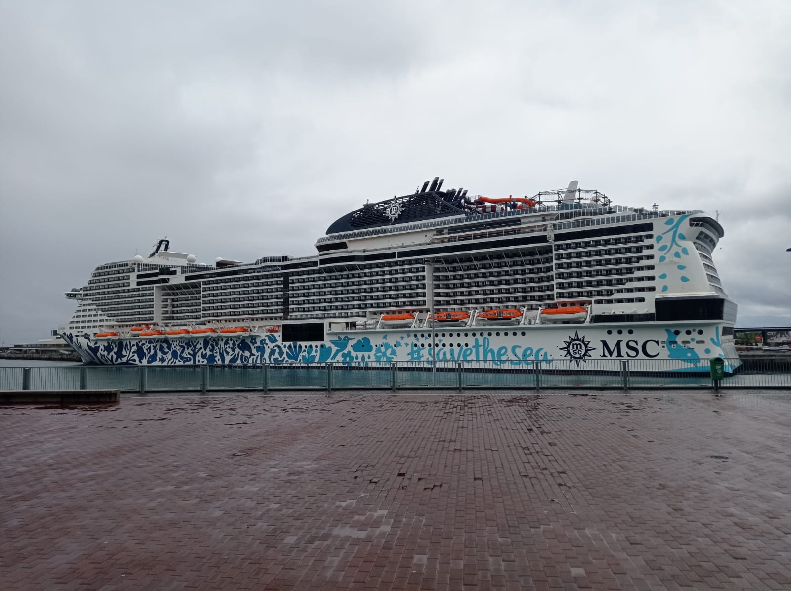 MSC Euribia fez hoje a sua escala inaugural na Região (áudio) | RTP Madeira