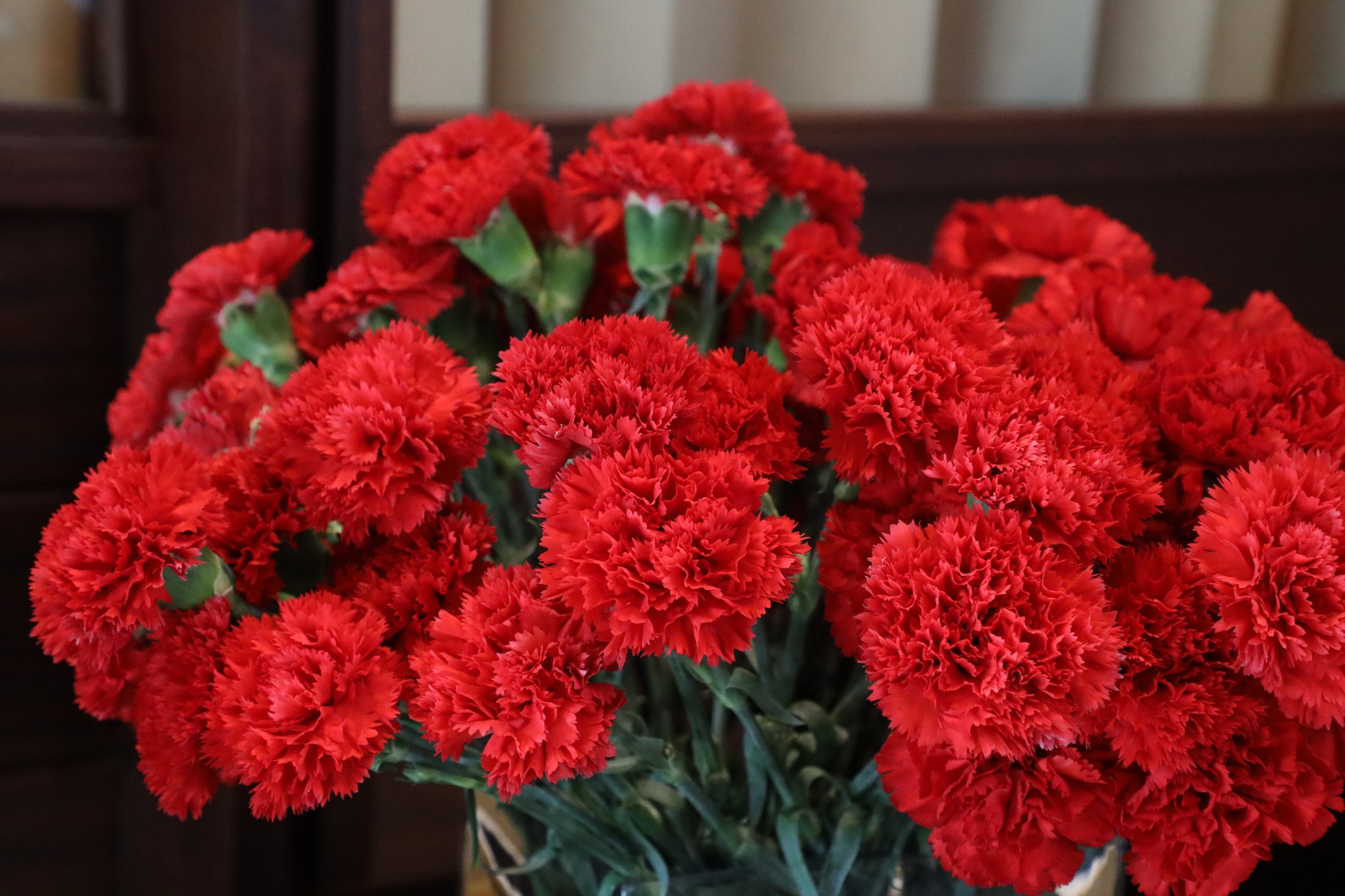 25 de abril foi tema no Liceu Jaime Moniz (áudio) | RTP Madeira