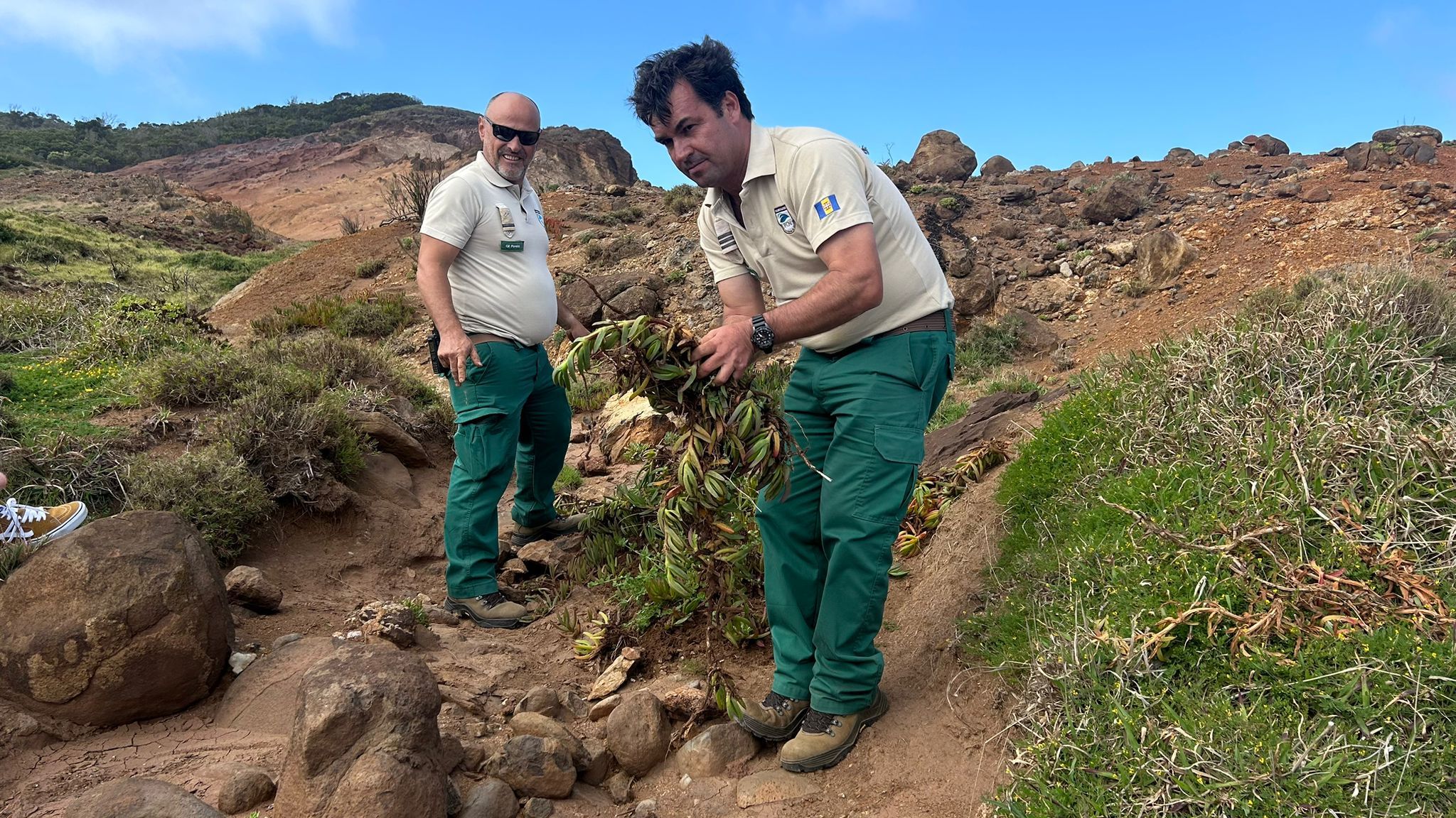 Novo projeto de deteção e eliminação de plantas invasoras (vídeo) | RTP ...