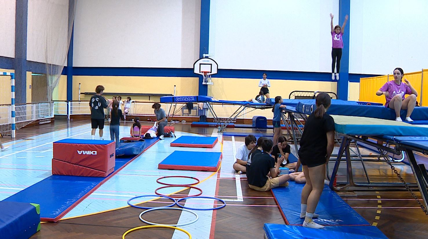 Câmara corta apoios a CTM com campeões nacionais (vídeo) | RTP Madeira