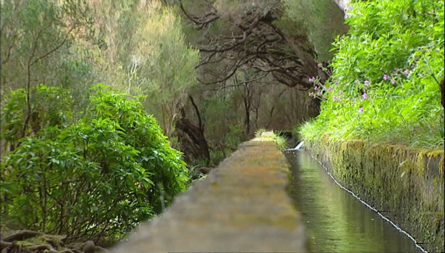 Levadas da Madeira a Património Mundial Cultural da UNESCO (vídeo ...