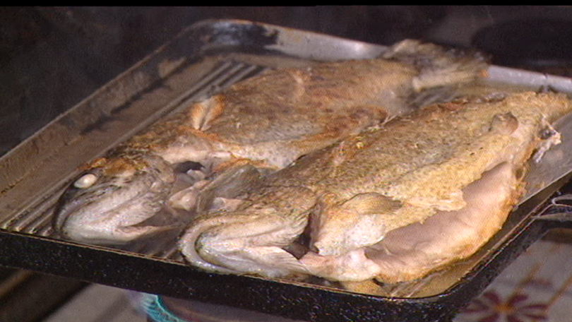 XII mostra regional de Truta começa hoje (áudio) | RTP Madeira