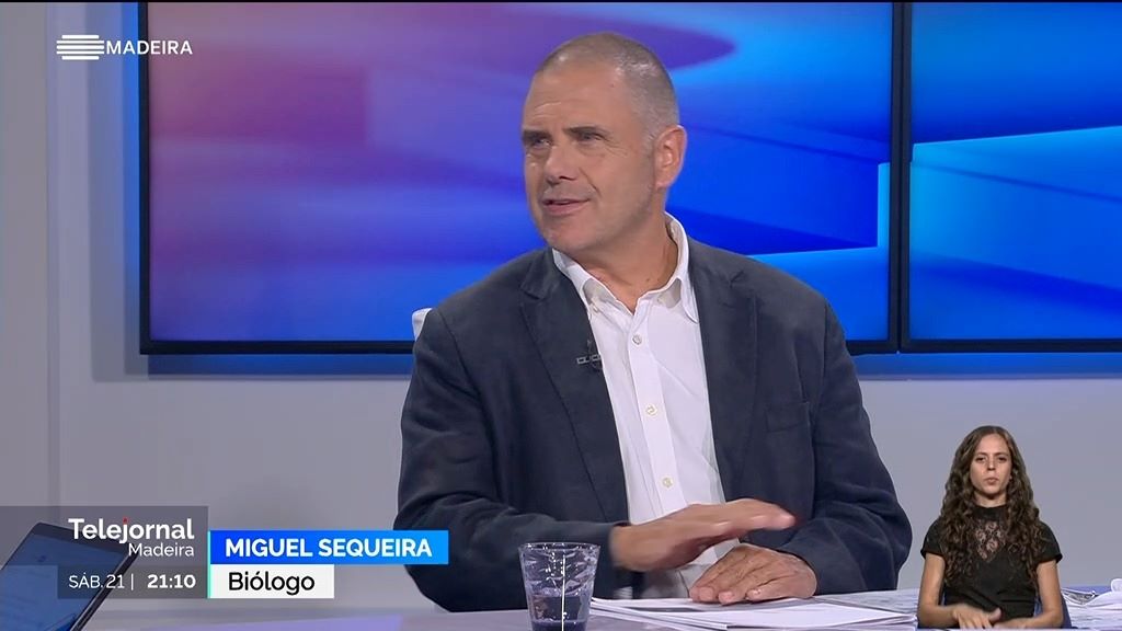 A floresta da Madeira não defrauda ninguém (vídeo) | RTP Madeira