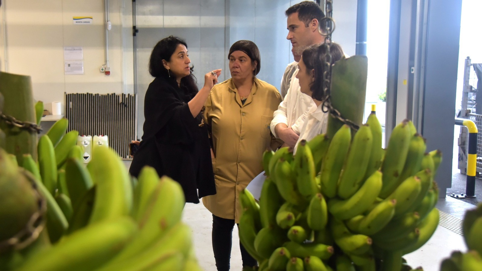 Rafaela Fernandes reuniu-se com GESBA e com distribuidores de banana da ...