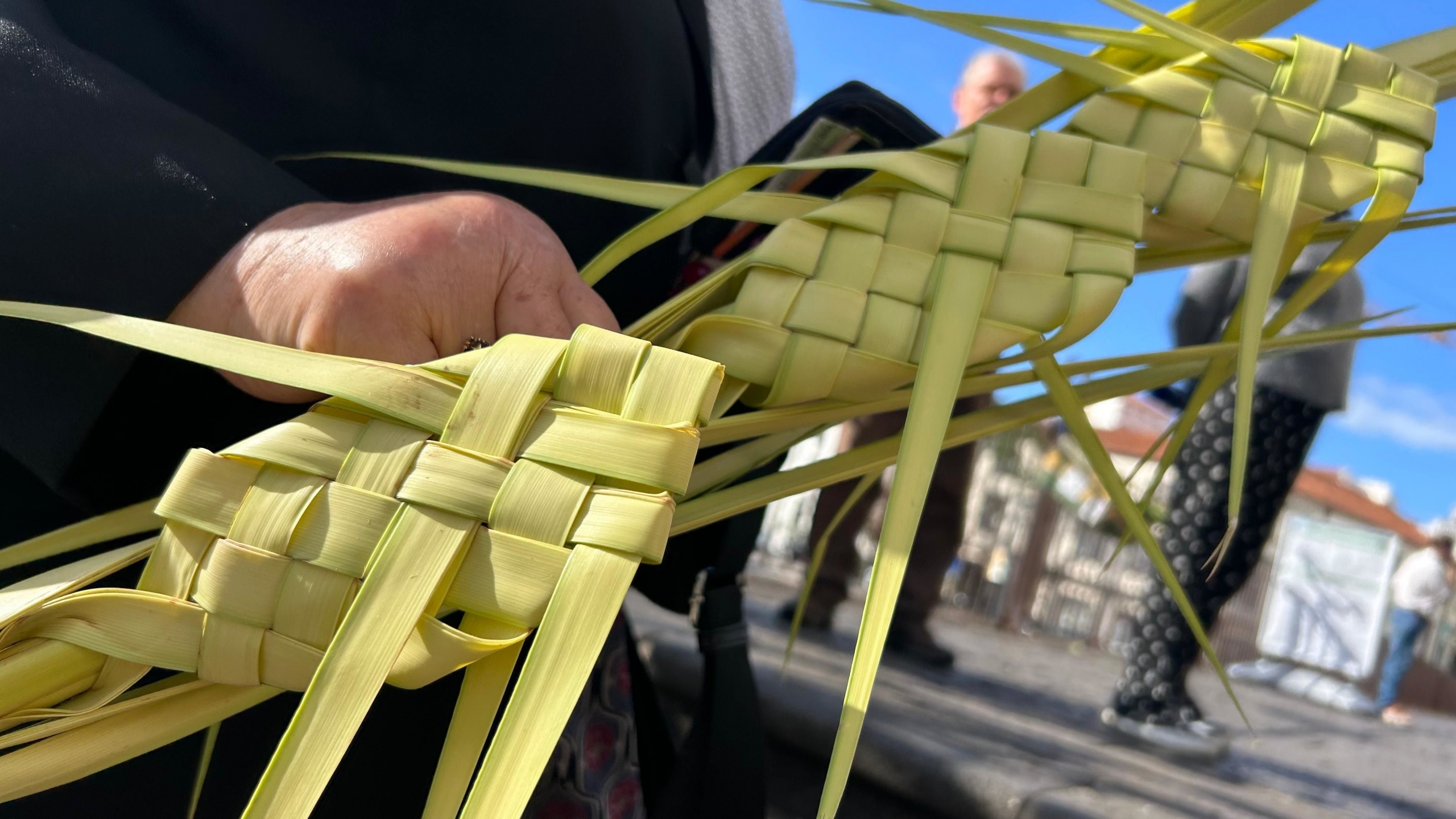 Palmitos e outras ramagens no Dia da Ramos (vídeo) | RTP Madeira