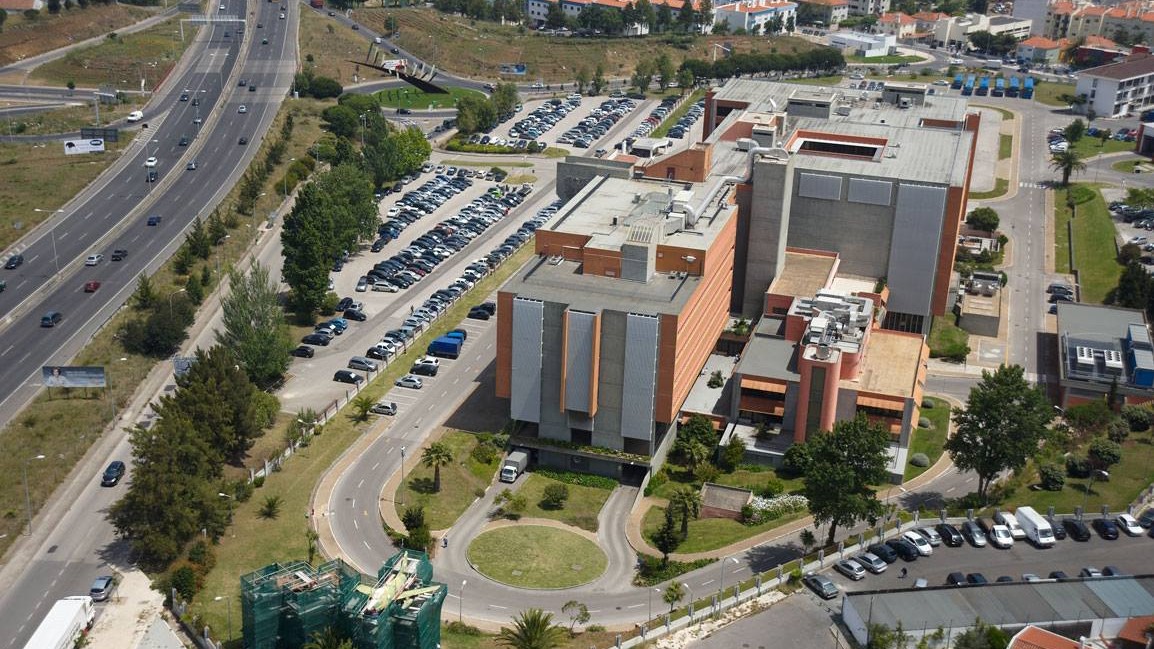Força Aérea confirma buscas nas suas instalações e diz estar a ...