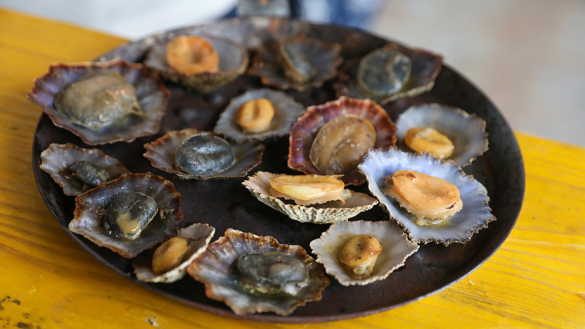 Imbróglio com a apanha da lapa (áudio) – RTP Madeira