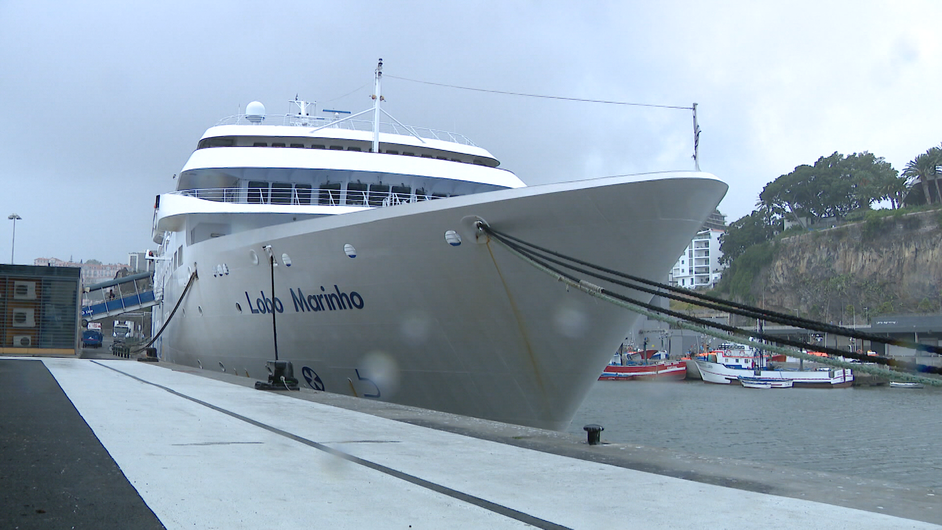 Porto Santo Line cancela viagens de sábado e reforça operação no ...