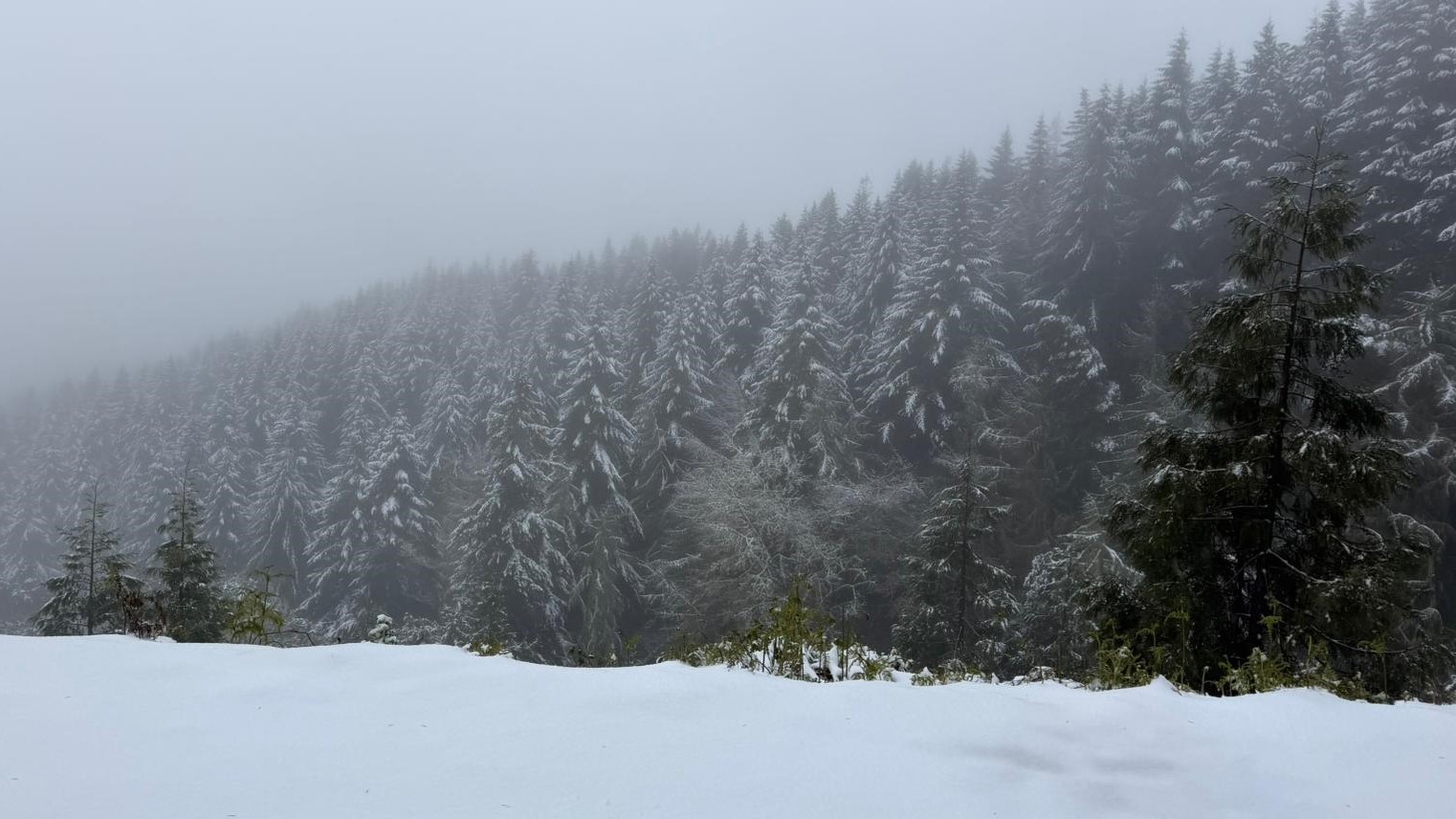 Neve cobre zonas montanhosas da Madeira – RTP Madeira