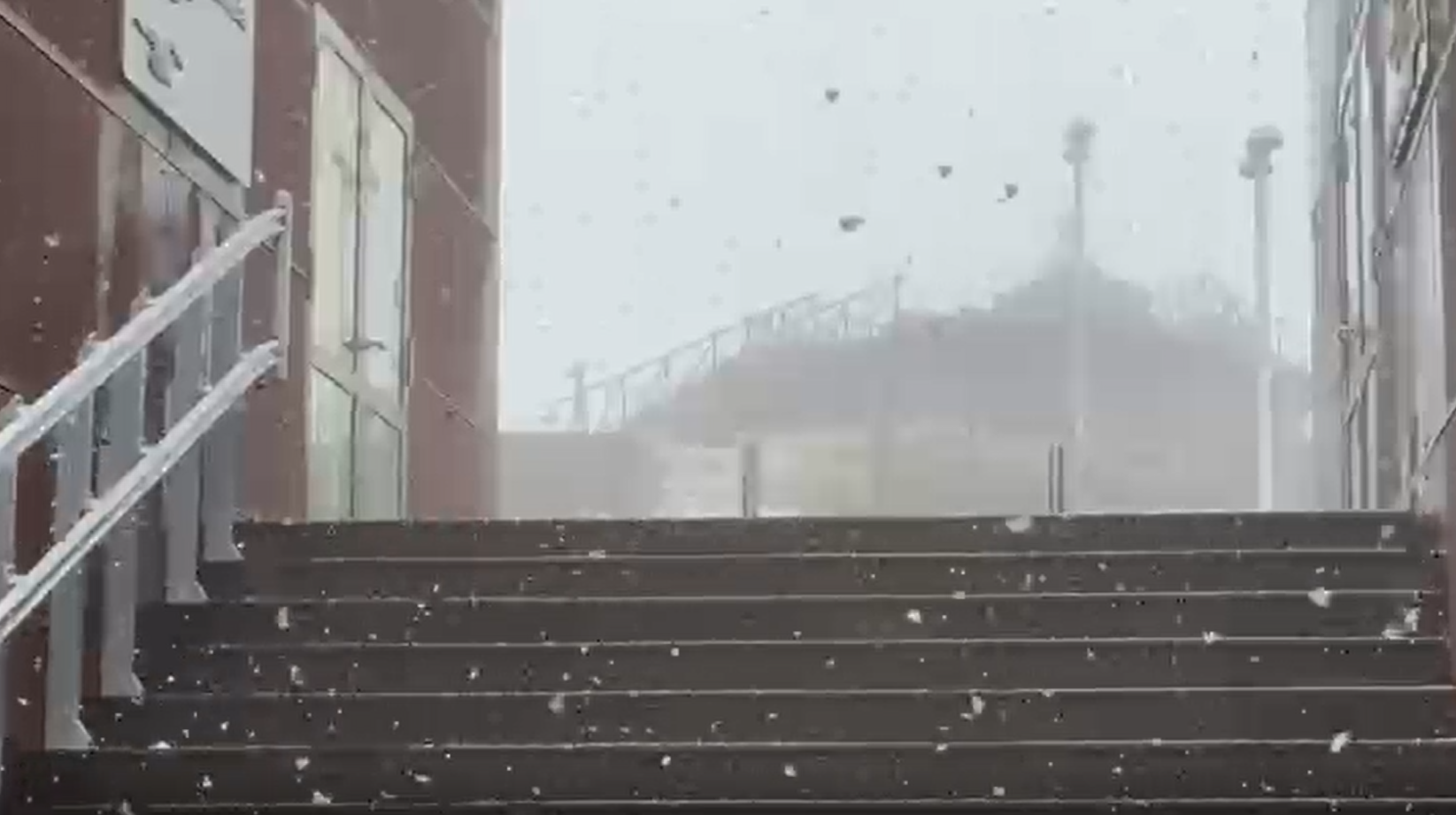 Neve cai nos pontos mais altos da Madeira (vídeo) – RTP Madeira