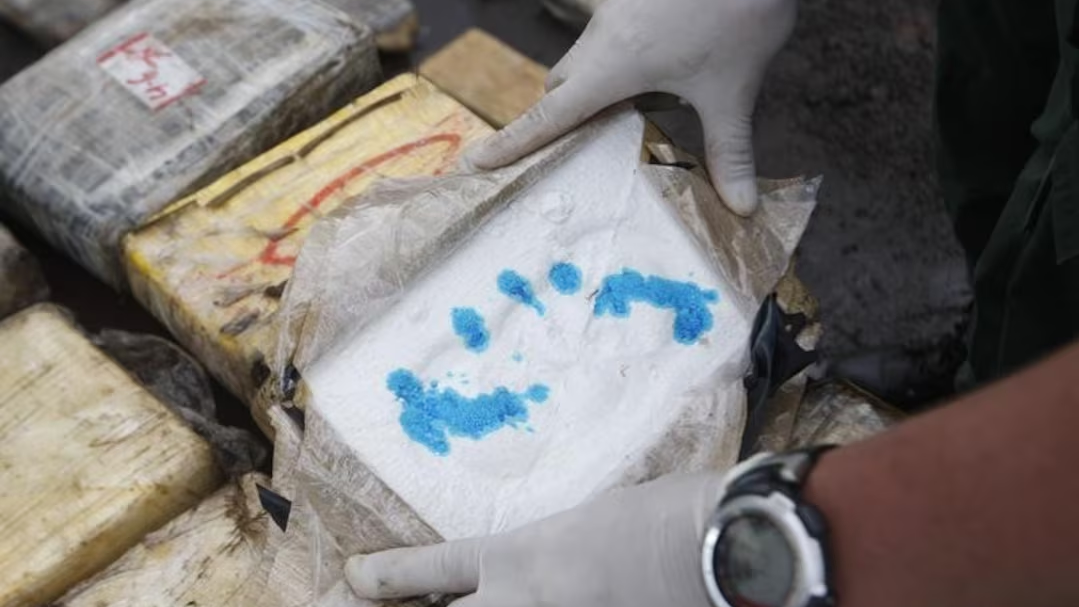 Portugal é dos países europeus que mais processa cocaína e apreensões ...